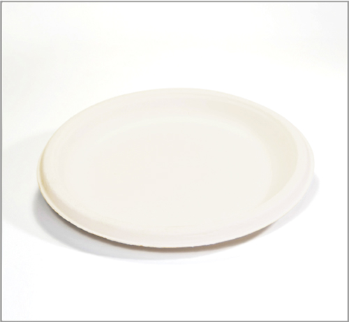 HIGH QUALITY BIODEGRADABLE FOOD PACKAGING - Welcome to WENGSPACK SDN BHD